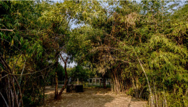 Oasis Valley – Oasis Movement