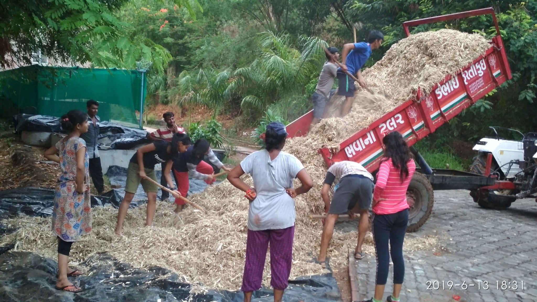 Alive – Oasis Movement